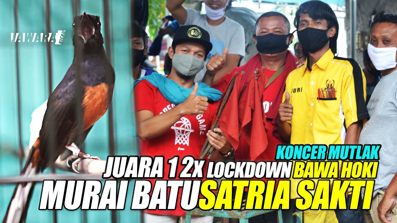 LOCKDOWN BAWA HOKI || MURAI BATU SATRIA SAKTI JUARA DOUBLE WINNER INI ...