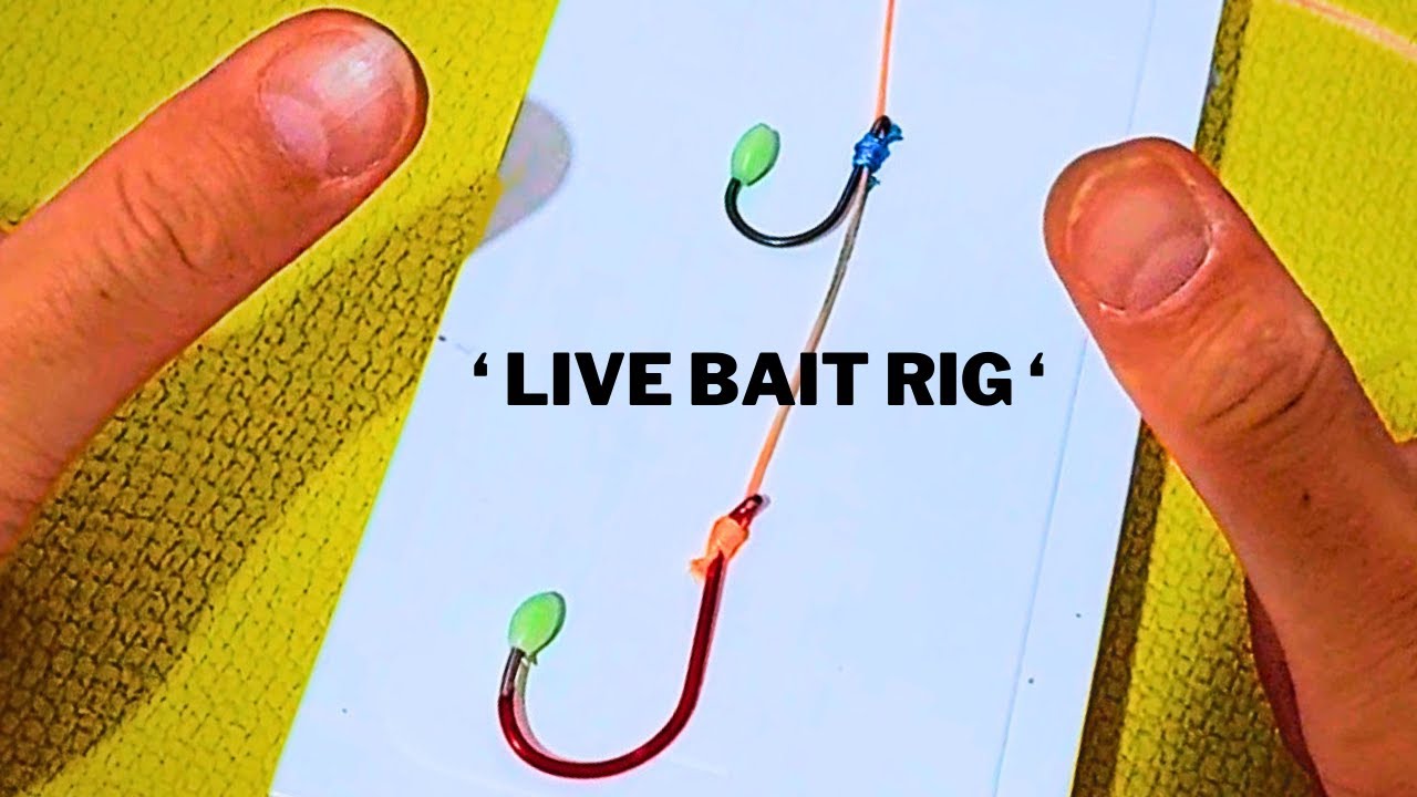 How To Rig Live Bait for Deep Sea Fishing | Big Catch Setup - YouTube