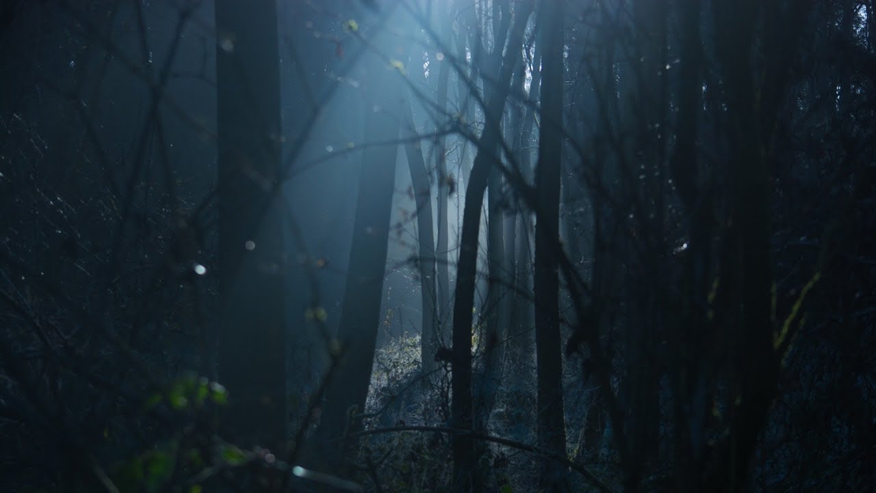 Banished: Street Rats of Aramoor / Review - YouTube