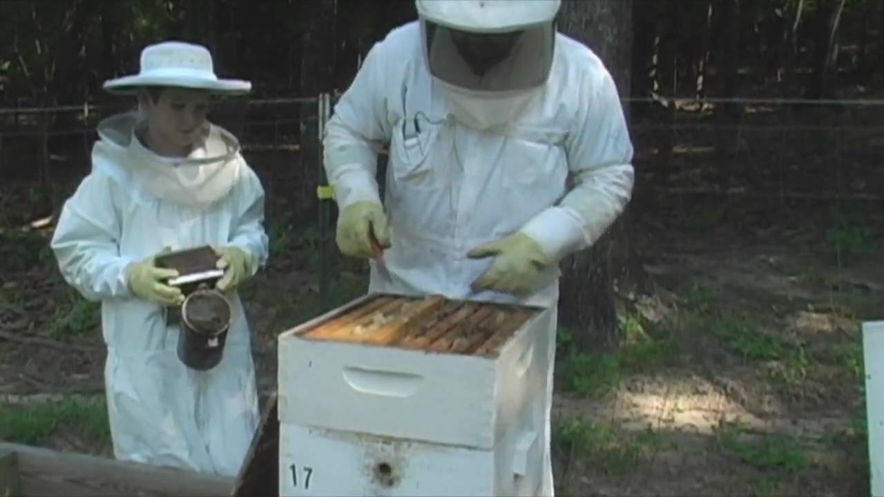 Survival Skills with Russ - Bee Keeping Part 1 of 4 - YouTube