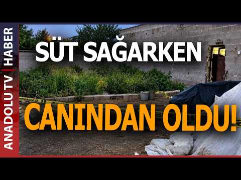 SÜT SAĞDIĞI SIRADA FECİ ŞEKİLDE CAN VERDİ!