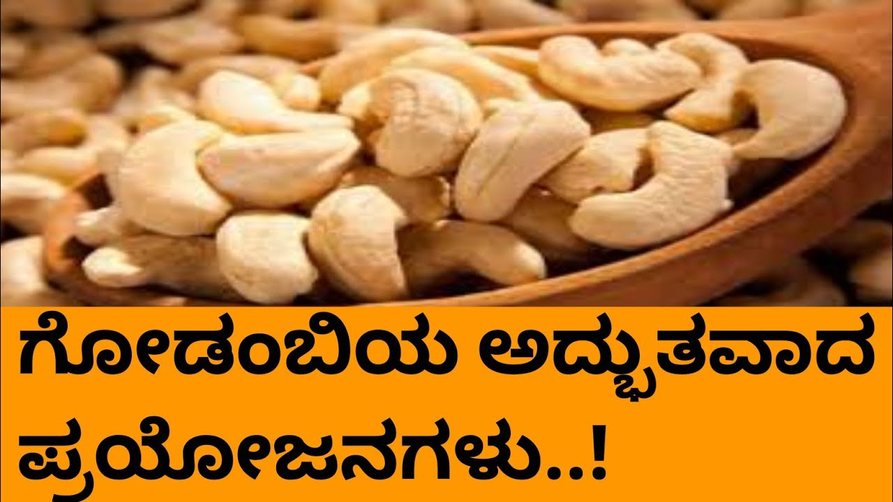 Godambi Health Benefits in Kannada |ಗೋಡಂಬಿ ಉಪಯೋಗಗಳು..! - YouTube