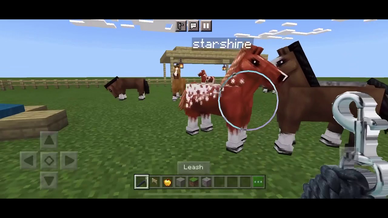 Minecraft equestrian fantasy mod - YouTube