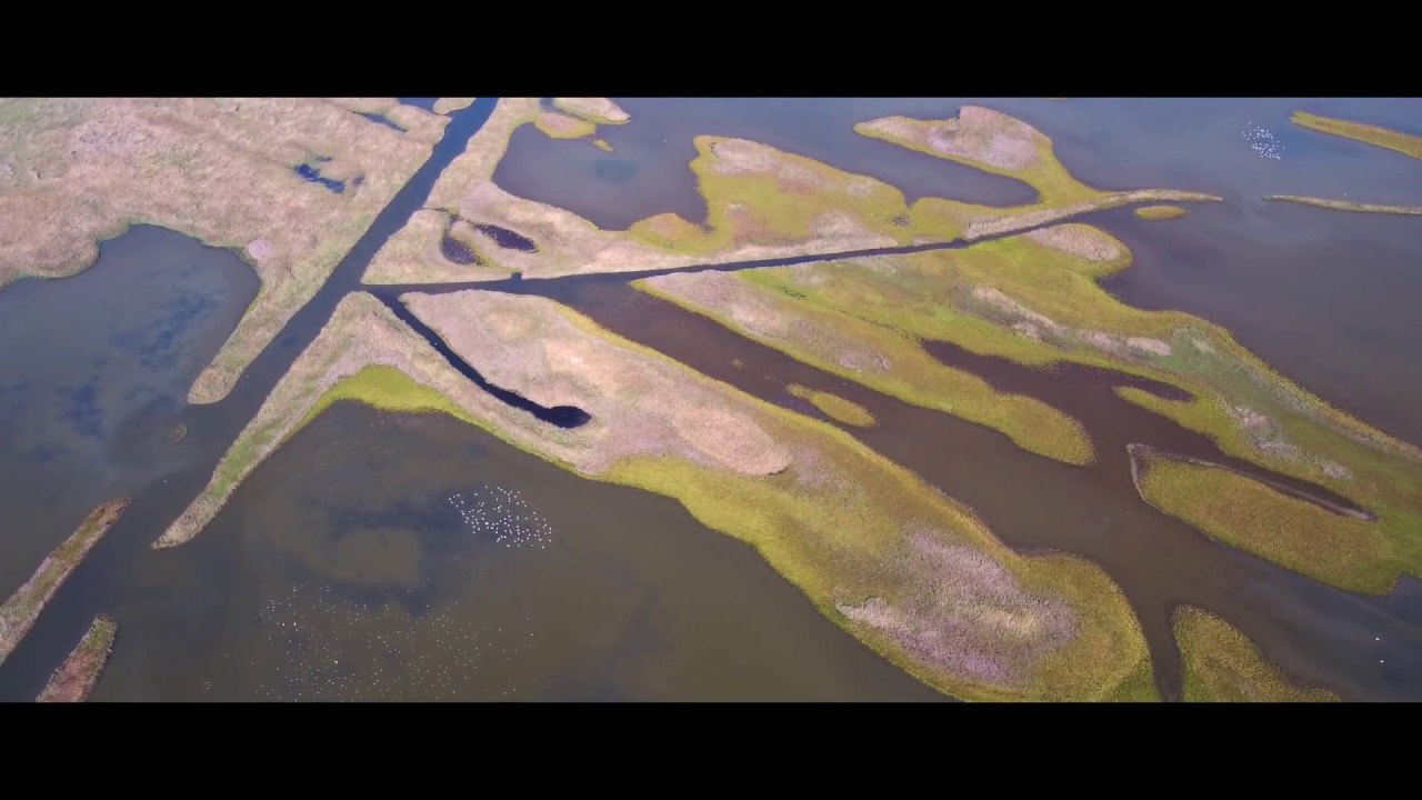 Parco Regionale del Delta del Po - YouTube