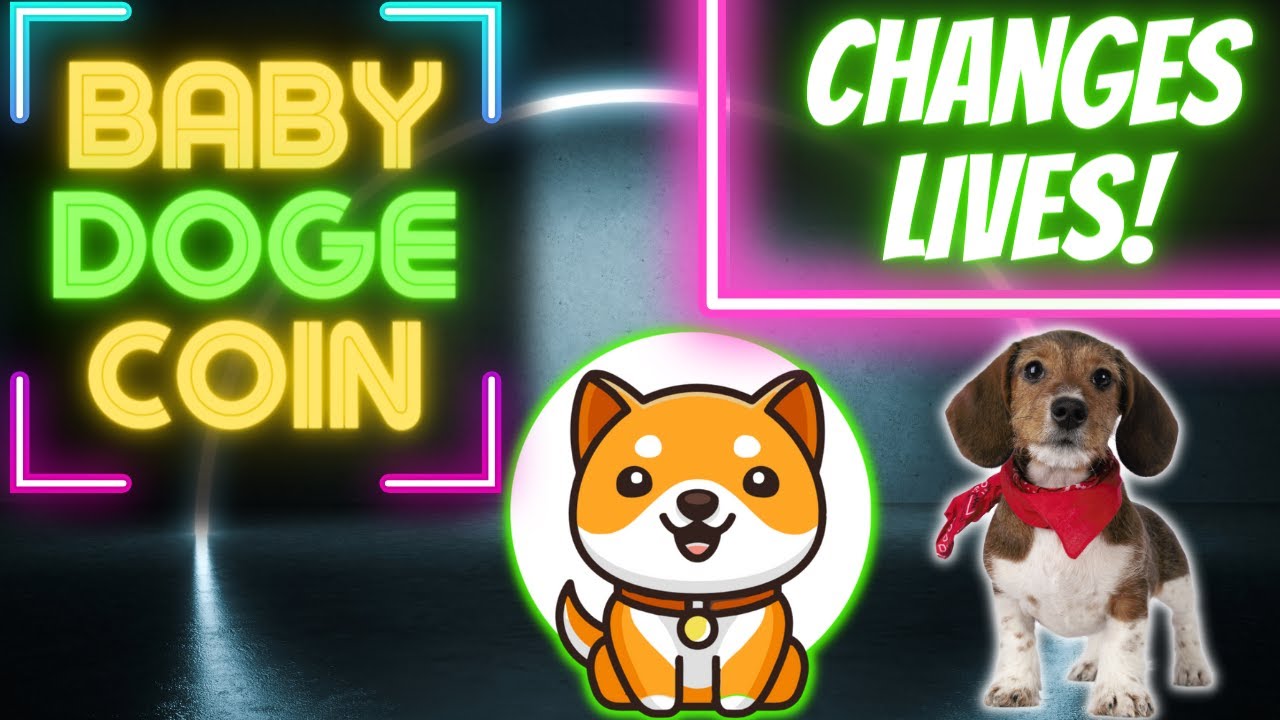 Baby Doge Coin Achieves New World Record! Road To 100X | EP. 143 - YouTube