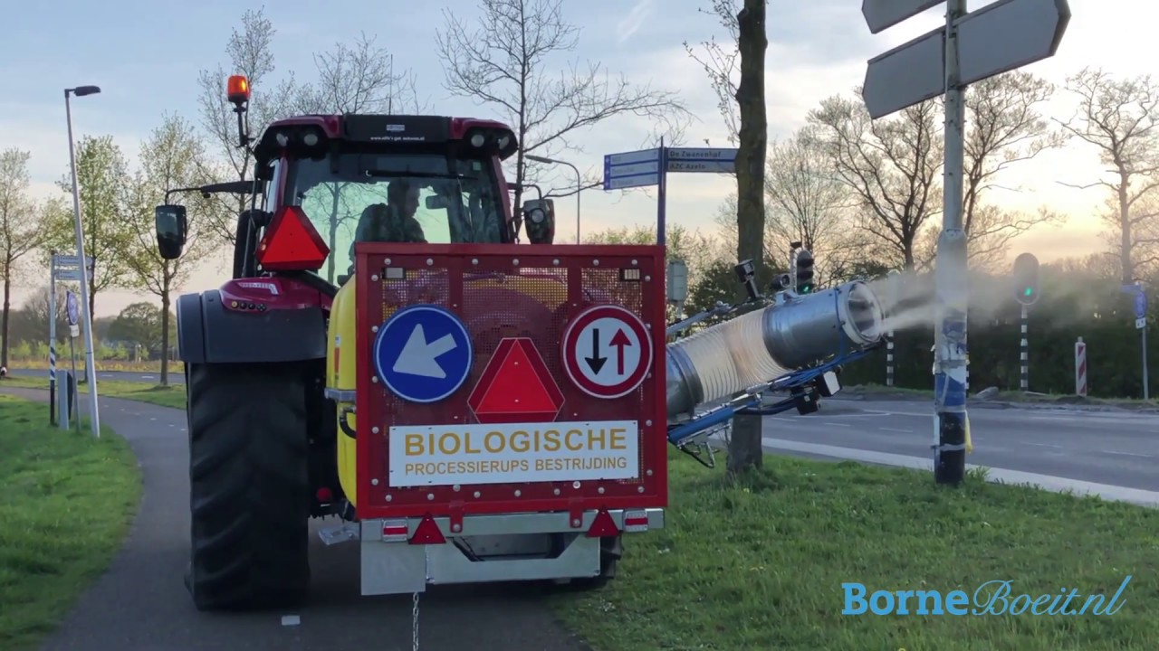Start bestrijding processierups - YouTube