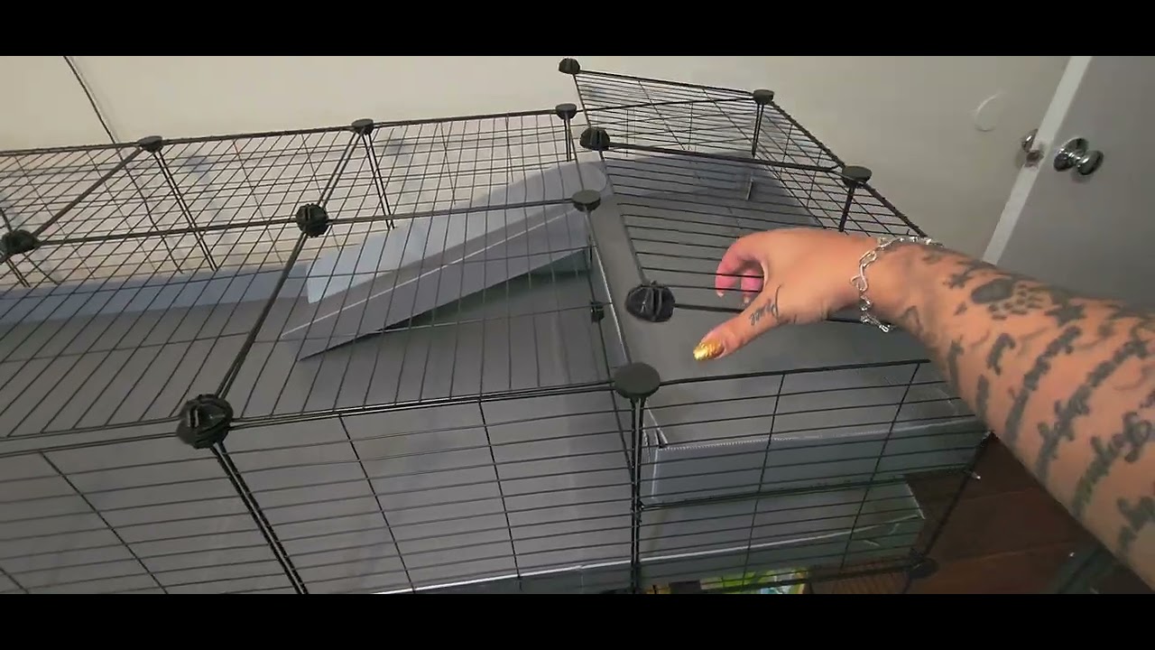 5x2 Kavee C&C cage with double stand! - YouTube