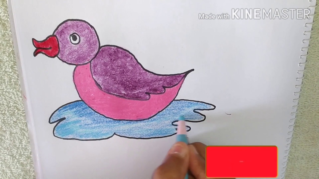 How to draw a little duck. হাঁস কিভাবে আঁকতে হয়। A small duck drawing ...