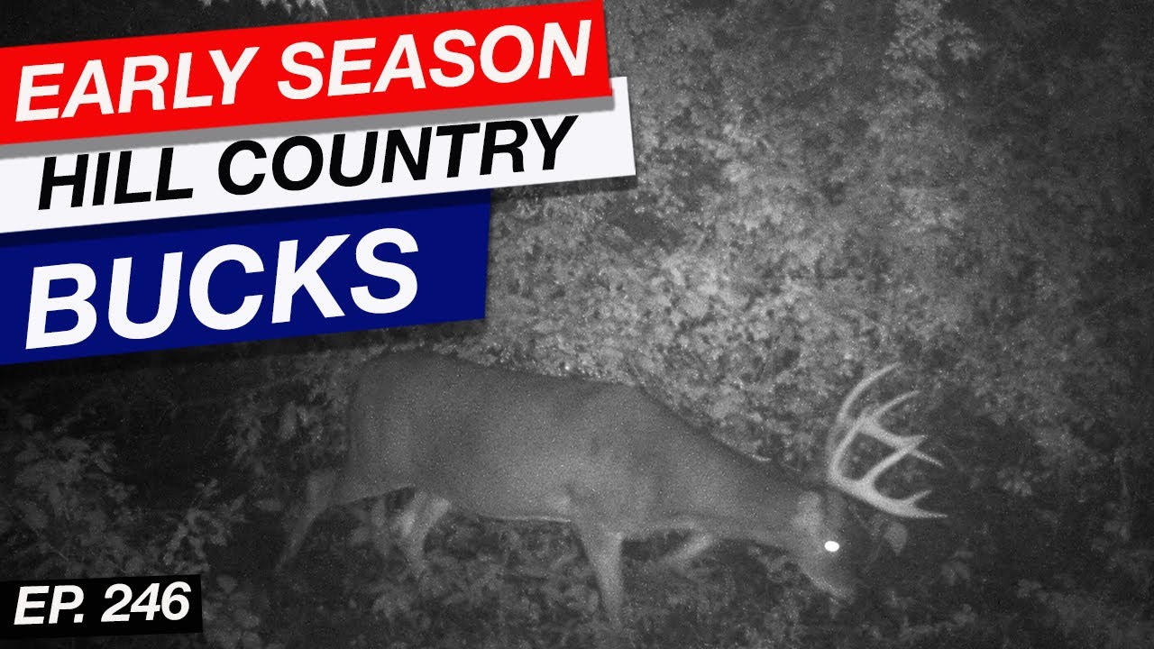 Early Season Hill Country Bucks and Tree Set Ups | Greg Litzinger - YouTube
