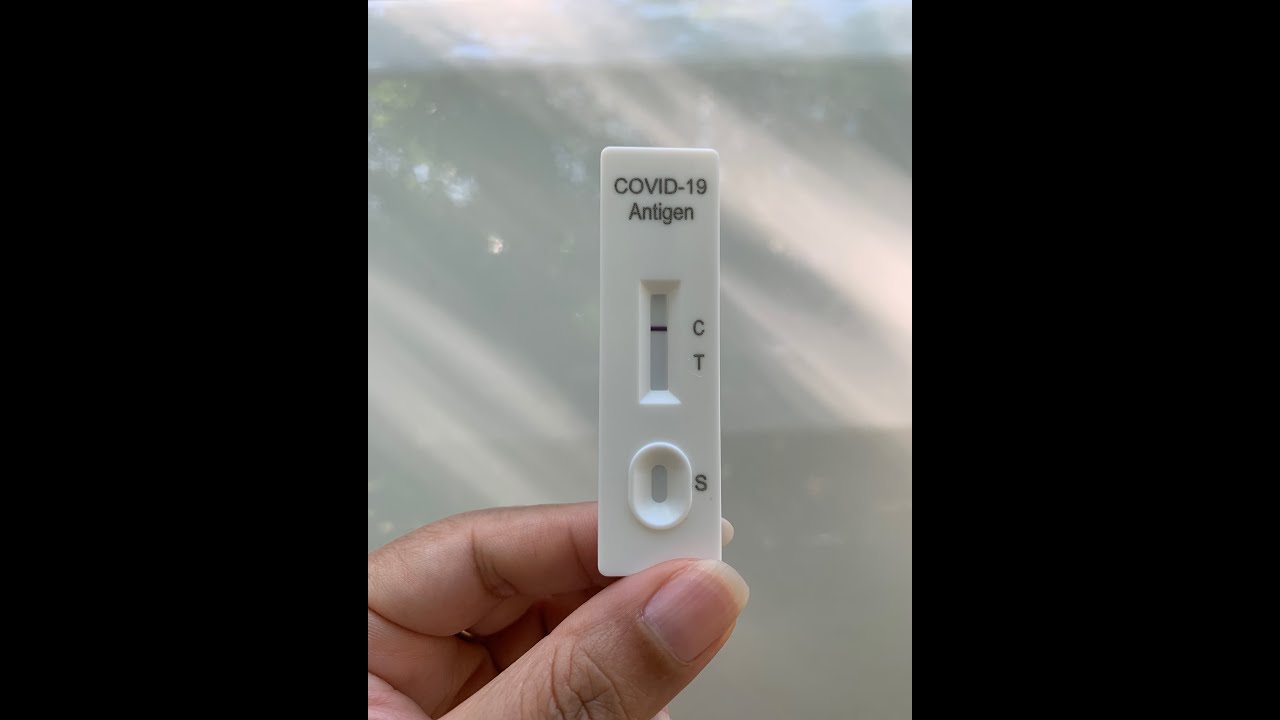 Panbio Test Procedure - YouTube