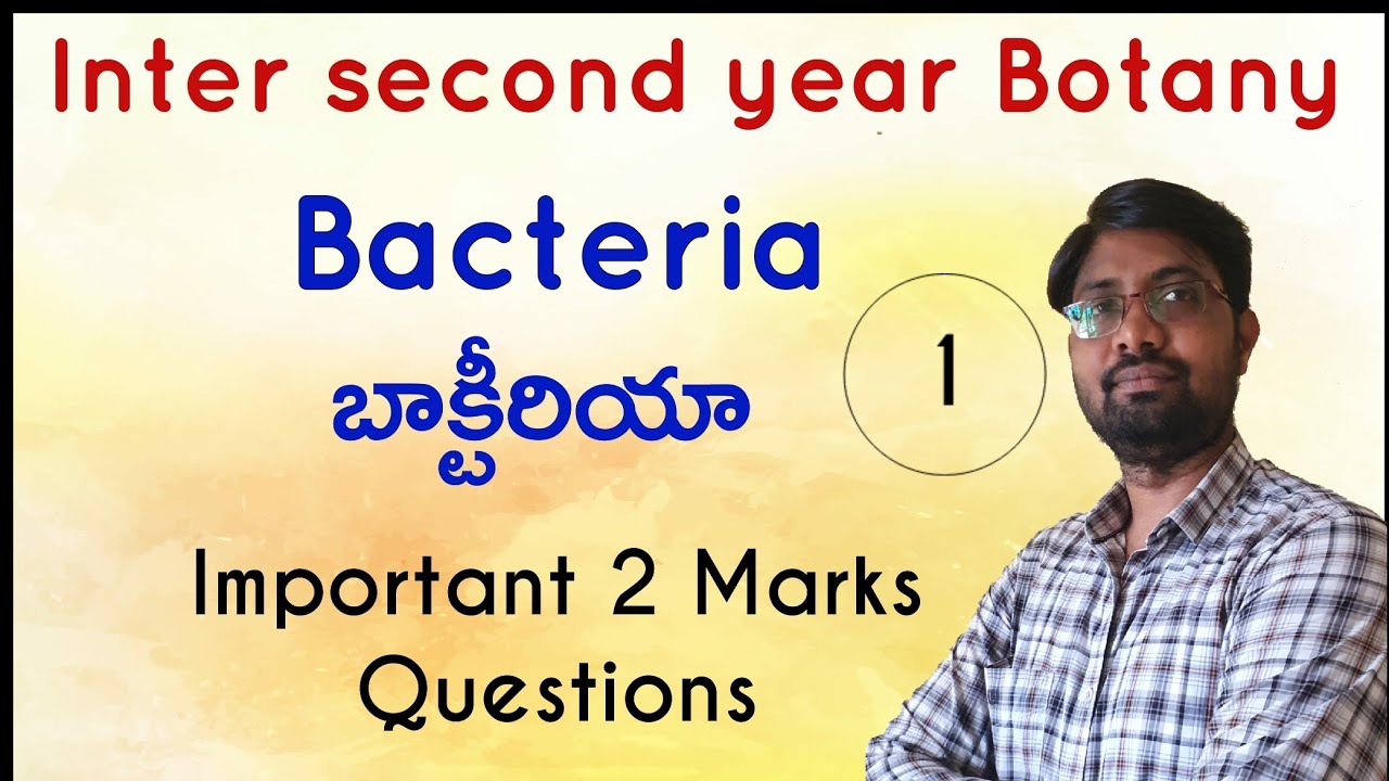 Bacteria lesson most important 2 Marks Questions - YouTube