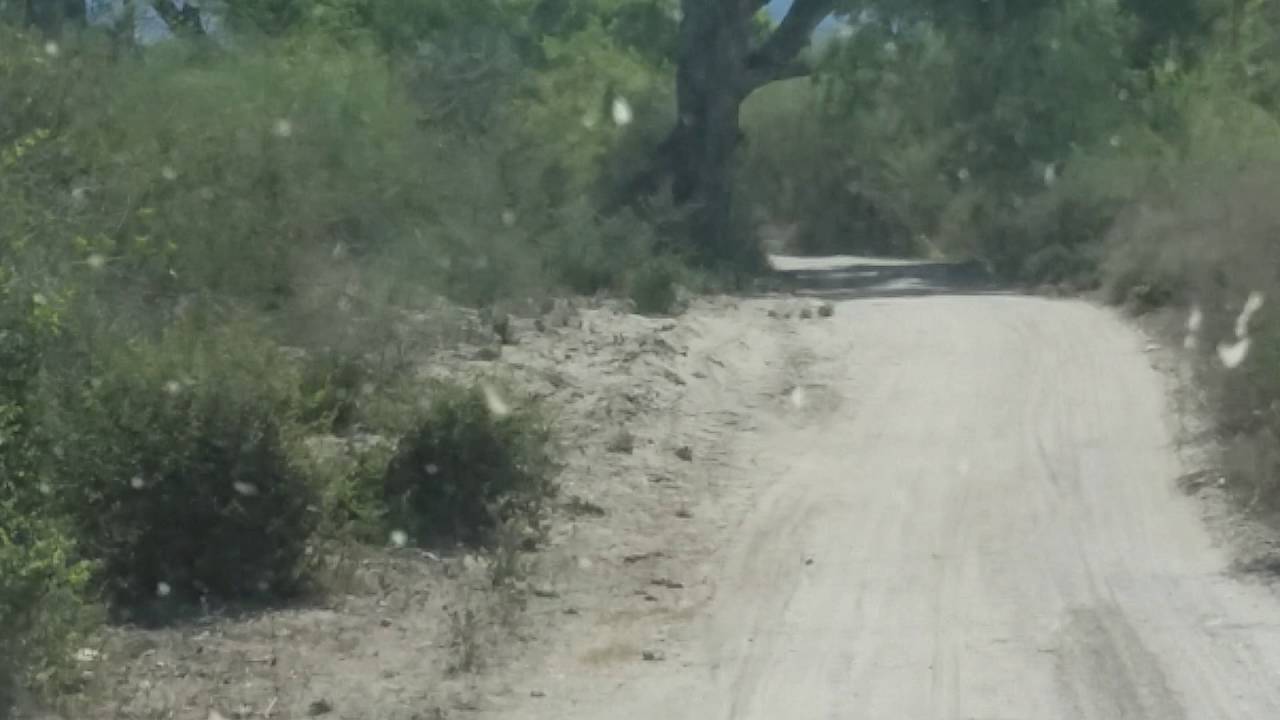 Cholugo en la boca toma de San Blas - YouTube