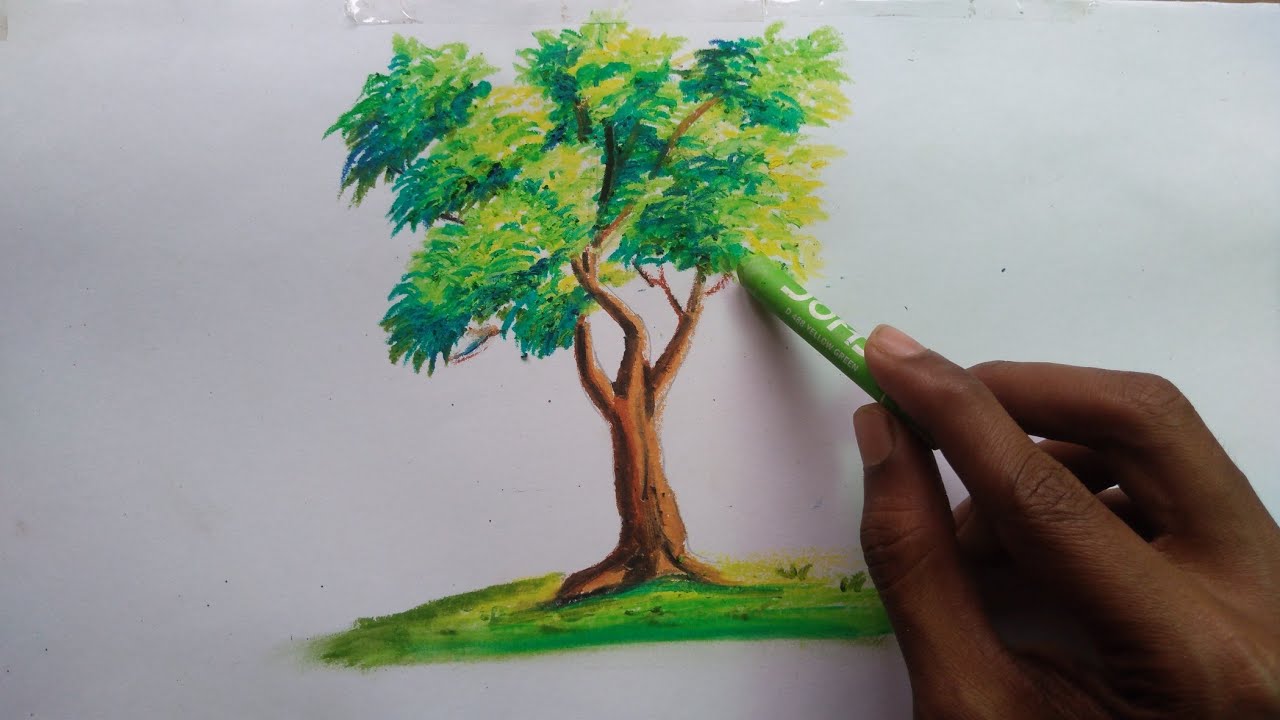tree drawing with oil pastel colour/oil pastel colour tree Drawimg ...