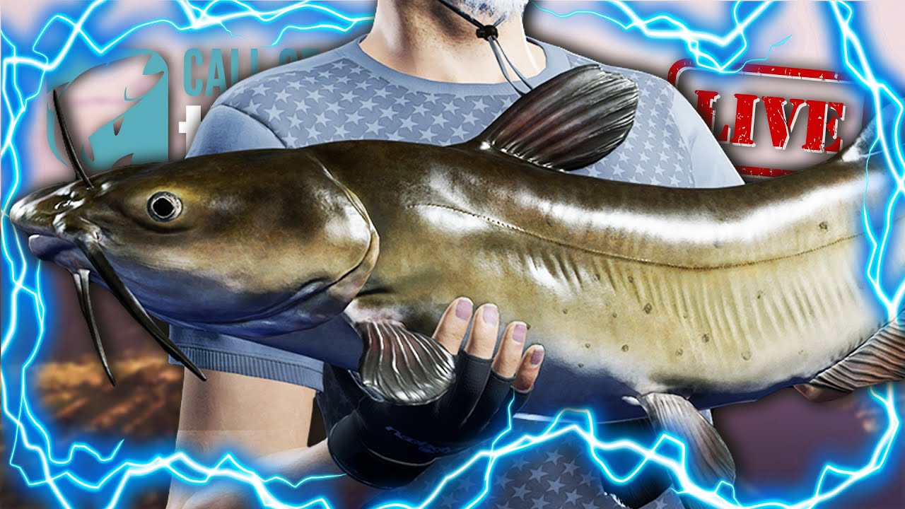 CHANNEL CATFISH! Week 1 Of Tackle Tuesday Season 3! The Angler - YouTube
