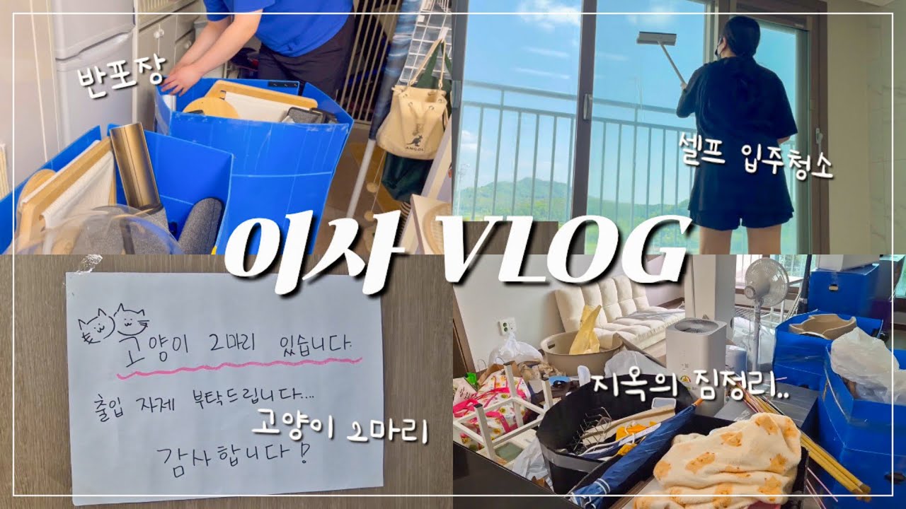 ๐ ์ด์ฌ Vlog 20๋ ๋๊ฑฐ ์ปคํ ์๋ฃธ์์ 25ํ ์ฐ๋ฆฌ๋ฃธ์ผ๋กโผ๏ธ ๊ณ ์์ด ๋ ๋ง๋ฆฌ์ ํจ๊ป ๋ฐํฌ์ฅ ์
ํ ์
์ฃผ์ฒญ์ ์ง์ ๋ฆฌ ์์ทจ์ ์ ์ถ ์ํํธ