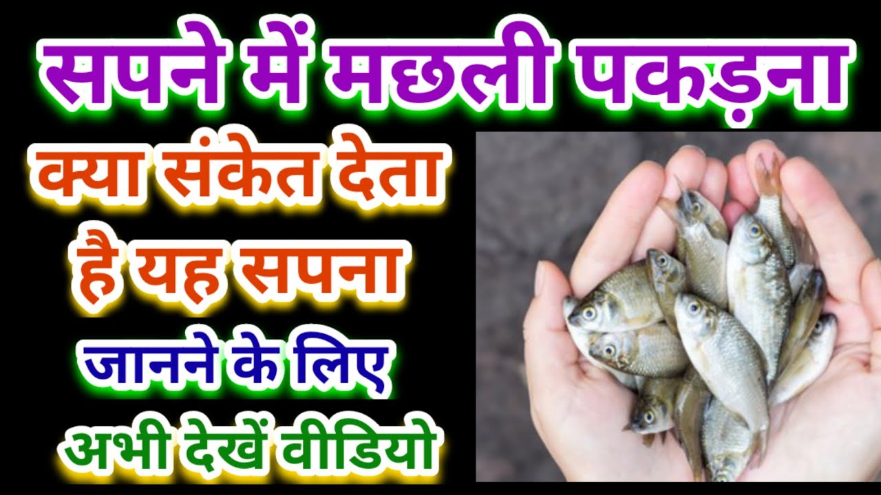 Sapne Mein Machli Pakadna Dekhna,सपने में मछली पकड़ना देखना,fishing in ...
