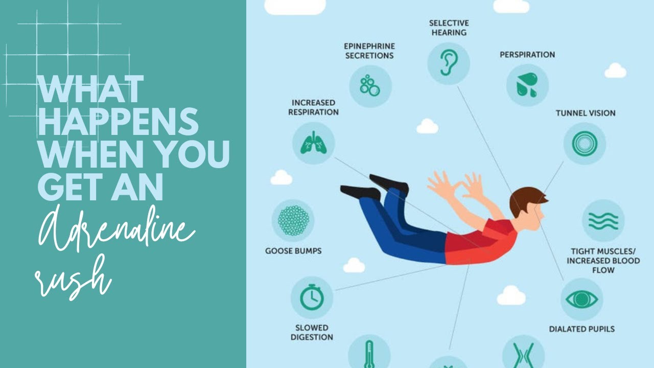 What happens when you get an adrenaline rush - YouTube