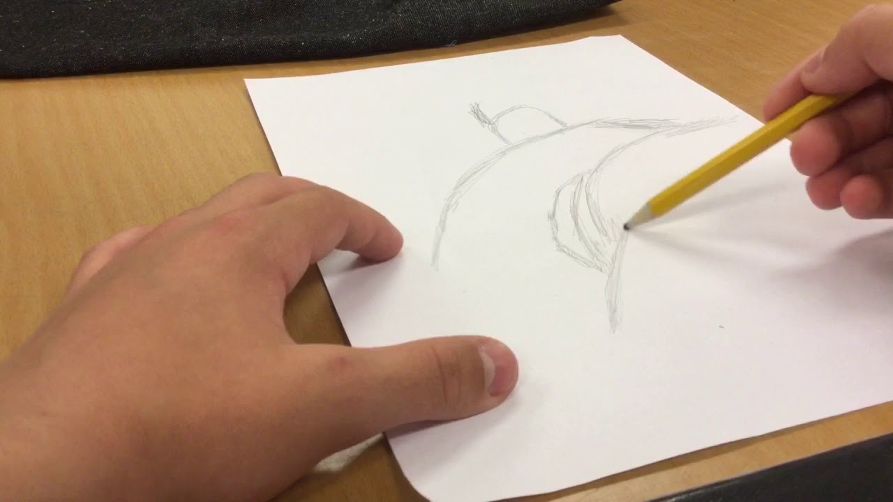 How to draw Wamen´s genitals - YouTube