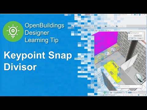 Using the Keypoint Snap Divisor