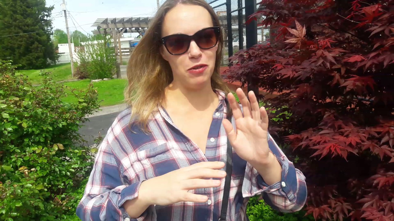 St Louis Frozen Custard Crawl with Sarah Kendzior and Umar Lee - YouTube