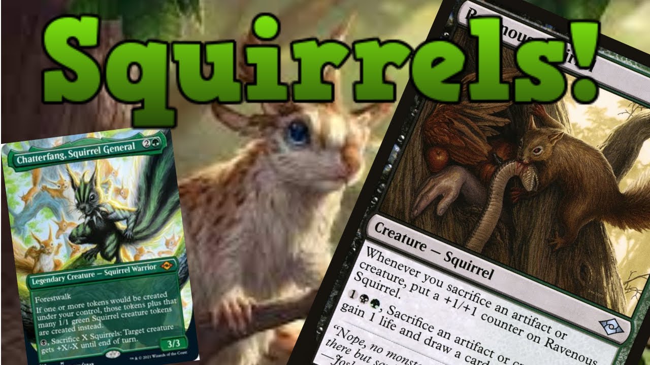 Squirrels! (again) MTG Arena Gameplay - YouTube