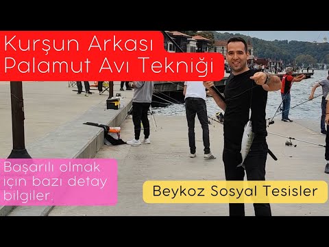 Kıyıdan Palamut Avı Palamut nasıl tutulur? amatör balıkçılar için palamut avı