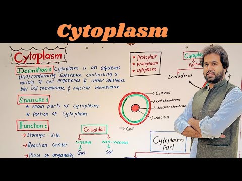 Chapter 4 # Cell | Cytoplasm | 11th Class Biology | Vision Academy ...