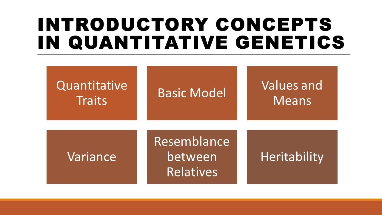 Introductory Concepts in Quantitative Genetics | Teacher Hazel - YouTube