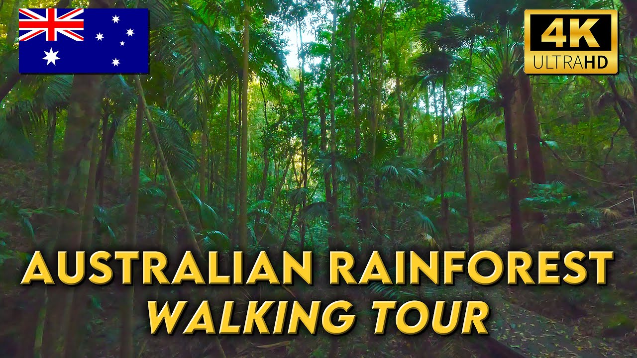 WALKING THROUGH AN AUSTRALIAN RAINFOREST | Katandra Reserve NSW Central ...