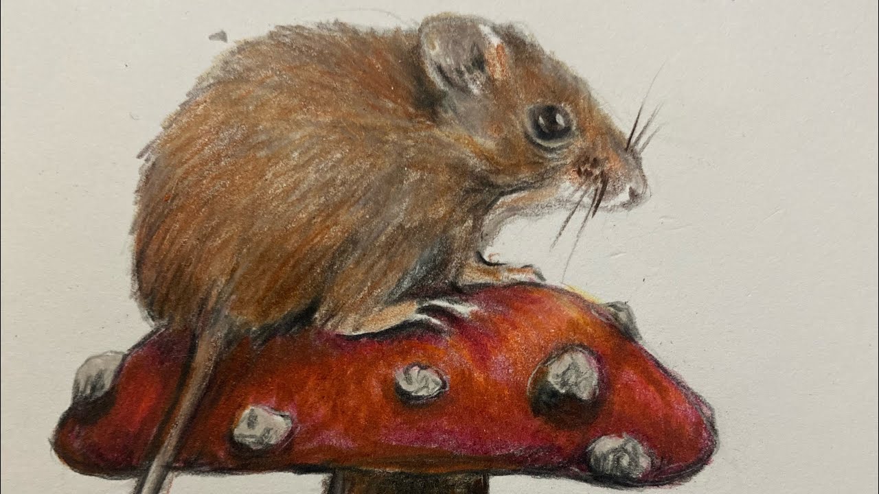 Draw and colour along with me! - YouTube