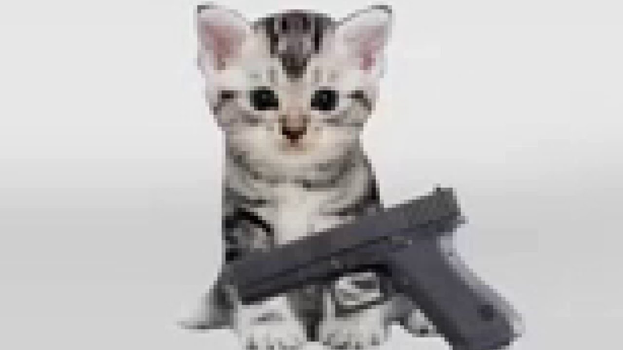 This cat wants YOU to WIN!!! - YouTube