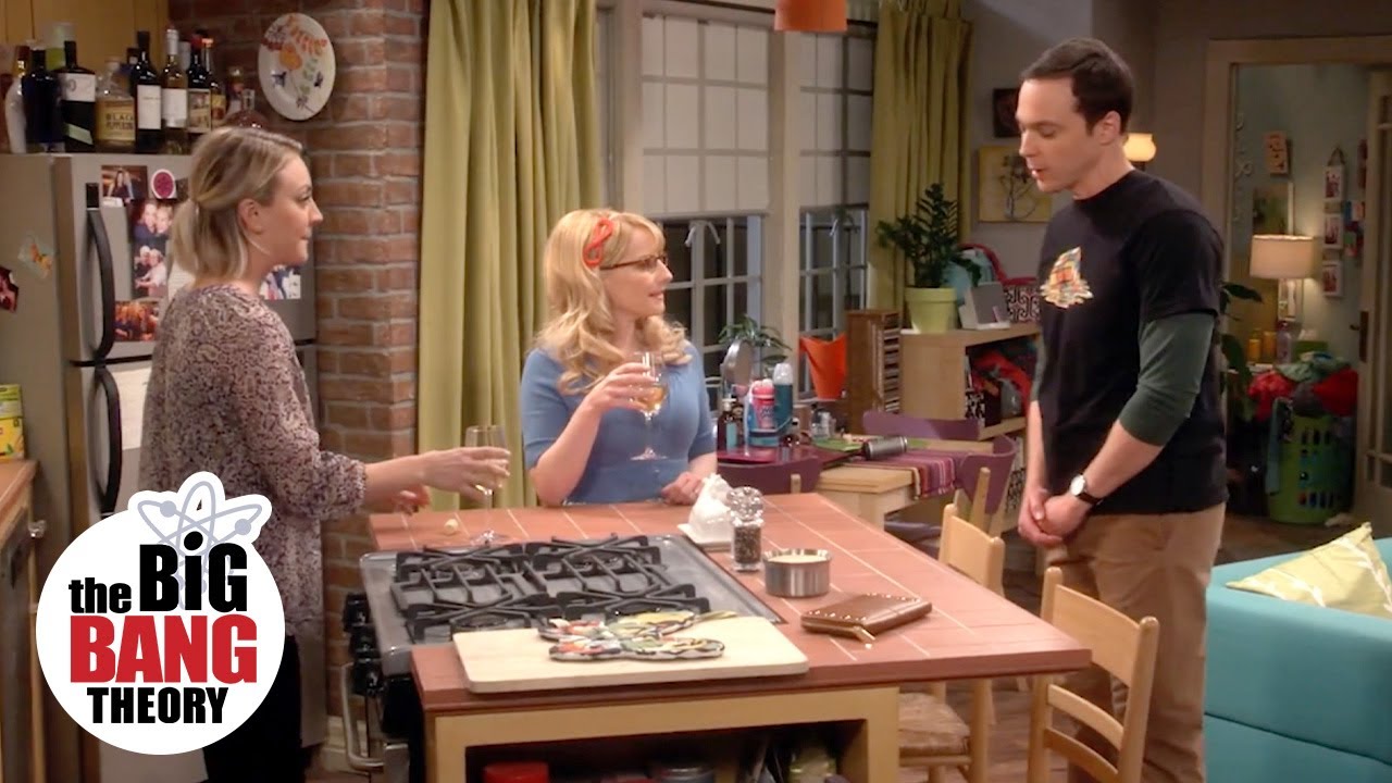 Sheldon's Birthday Gift for Amy | The Big Bang Theory - YouTube