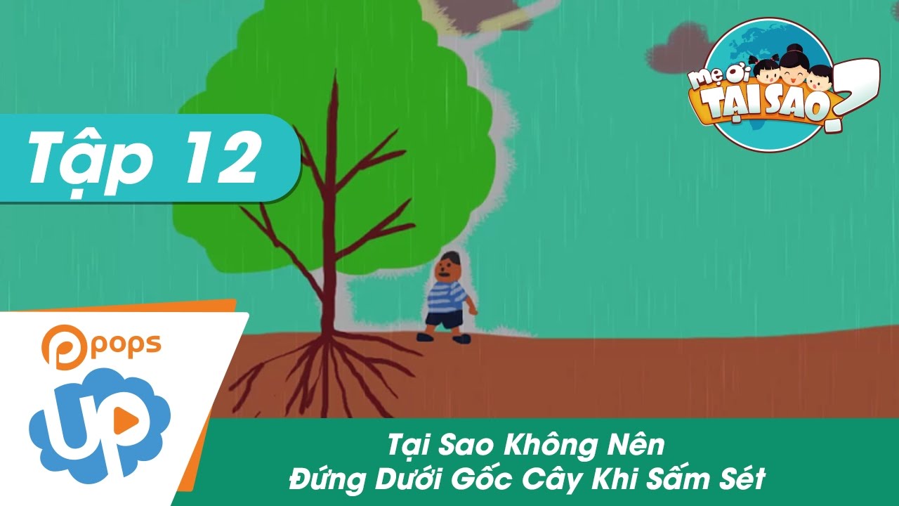 Science for Teen 🤓 🌳 Why we should not stand under the tree when ...