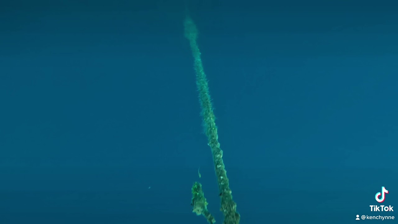 25 meter Tokai Maru Shipwreck tour. - YouTube