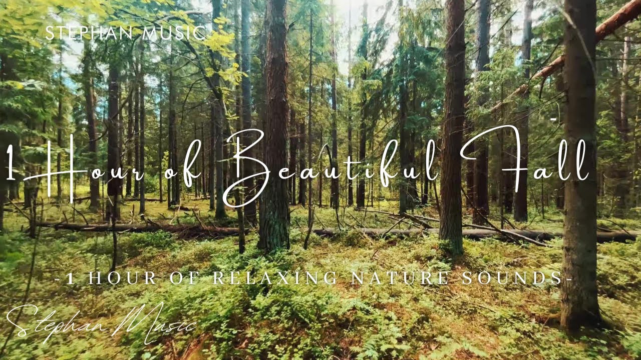 Healing Fall Autumn, Beautiful Relaxing Piano, Meditation, Sleeping ...