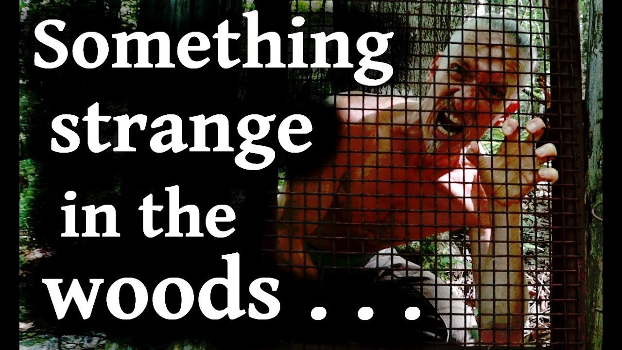 The Riddle of the Werewolf Cage Hidden Deep in the Woods - YouTube