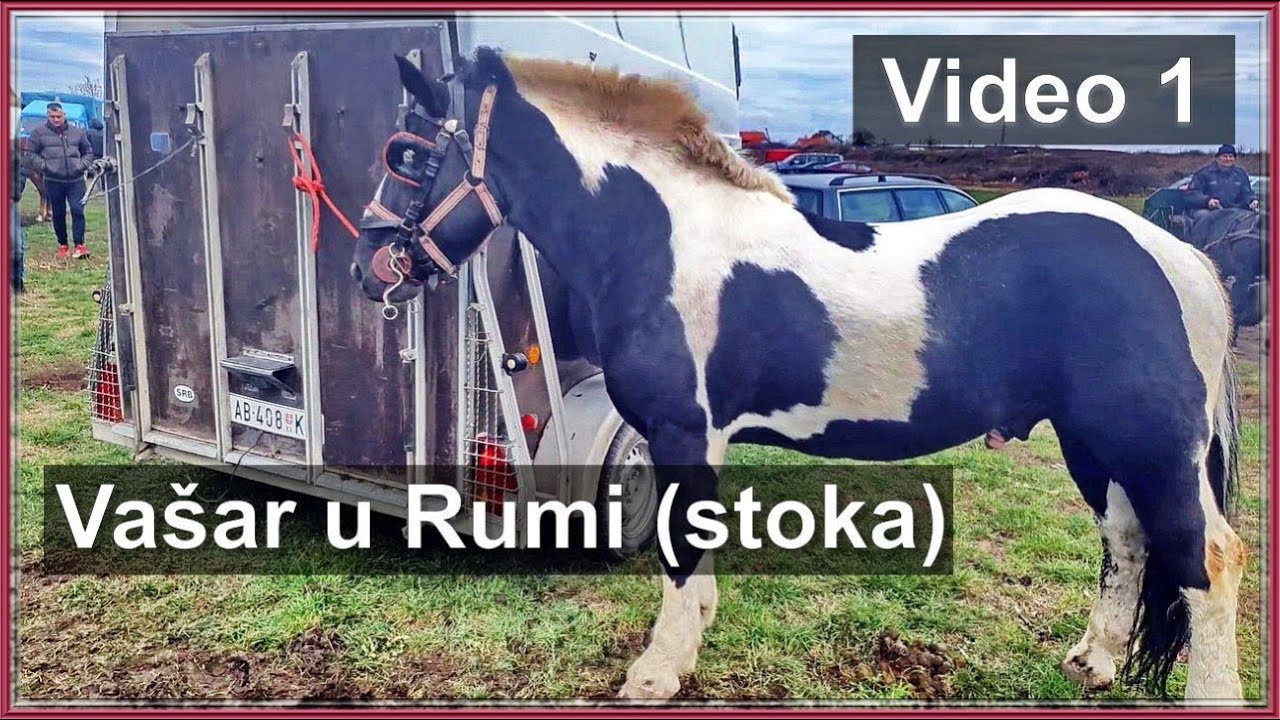 Vašar u Rumi - YouTube
