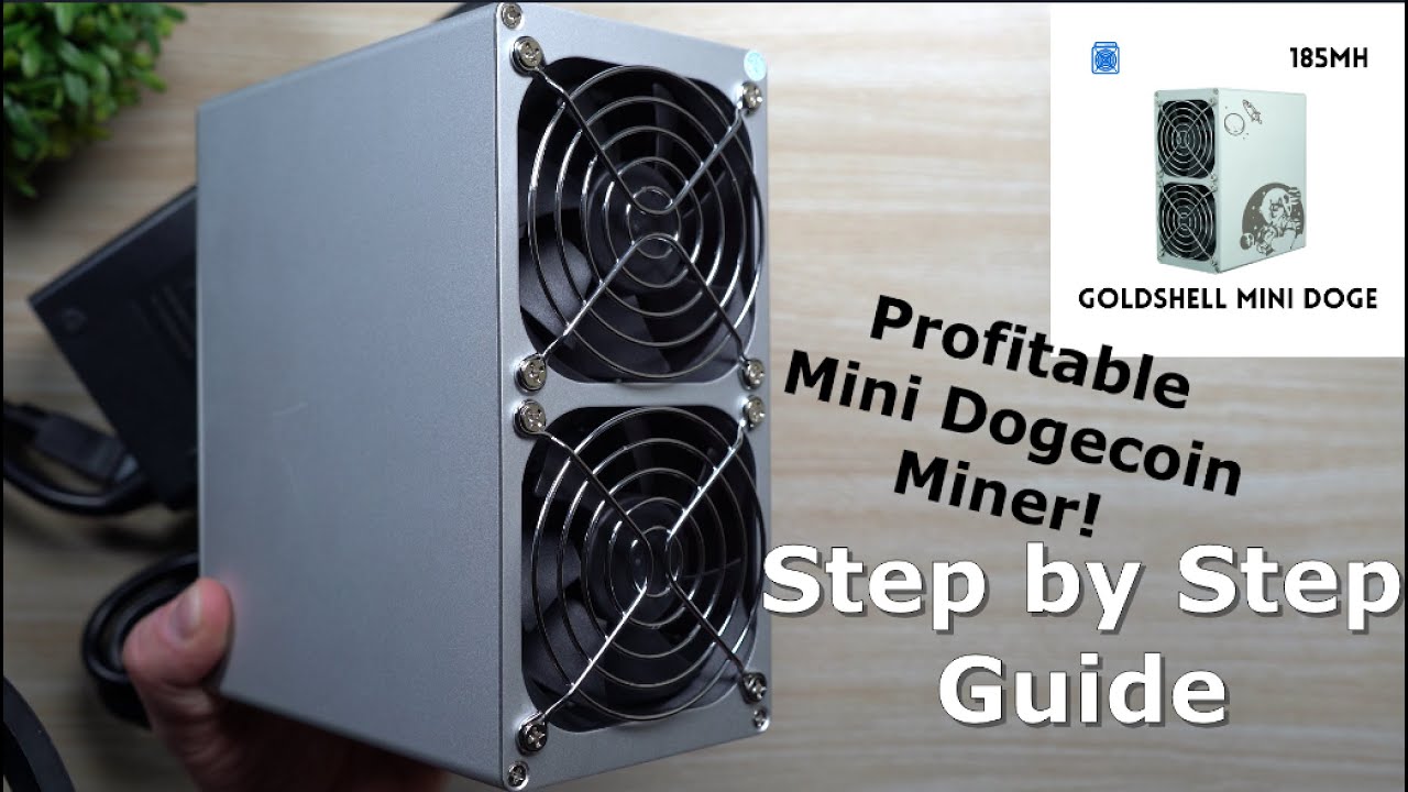Mini Dogecoin + Litecoin Miner | Affordable & Profitable - Step By Step ...