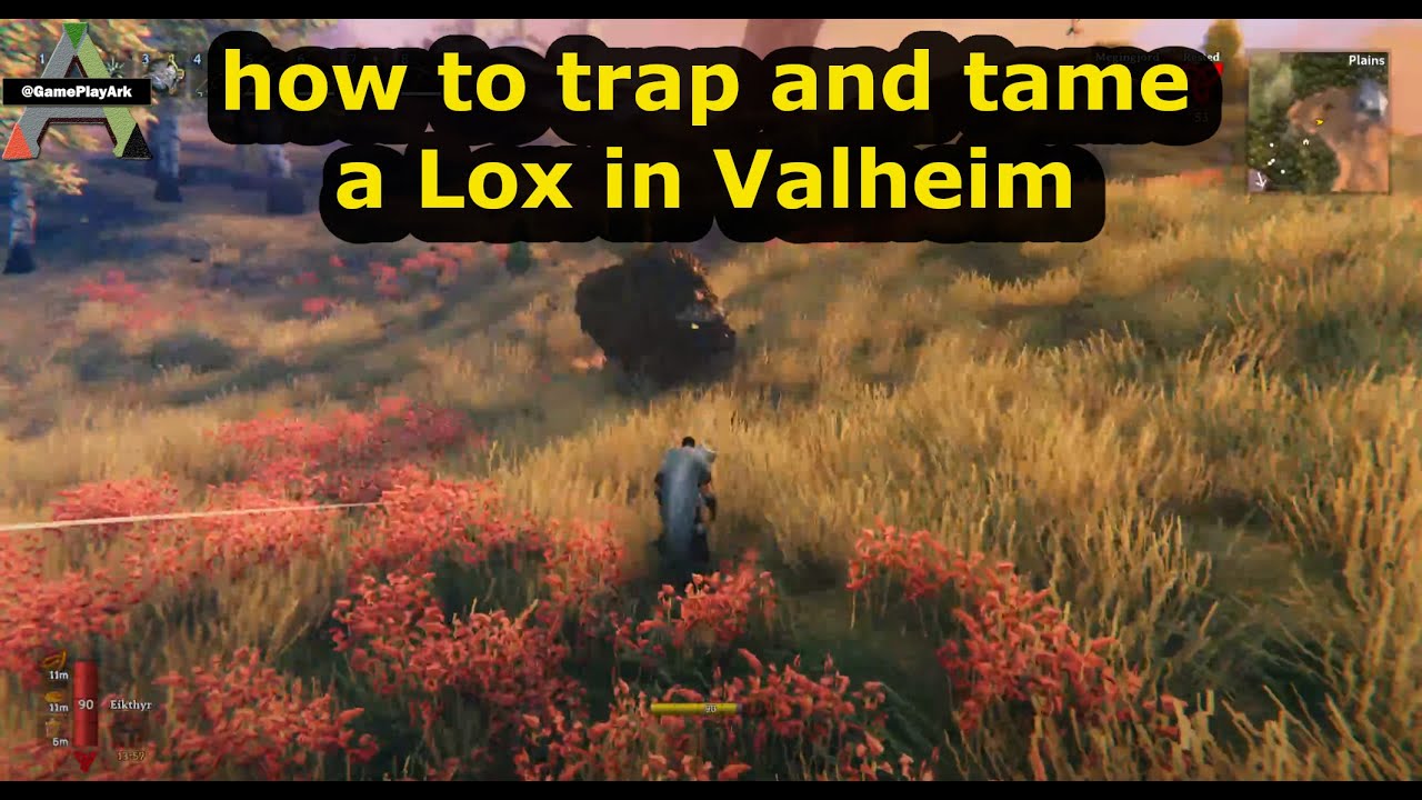 how to trap and tame a lox in Valheim - YouTube
