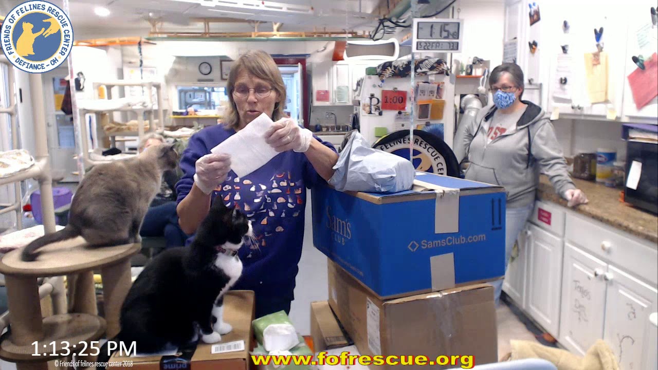 FFRC Boxes and Updates 05/22/2020 Friends of Felines Rescue Center ...