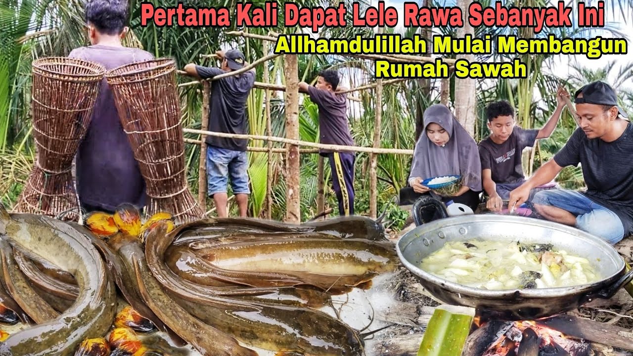 PERTAMA KALI DAPAT LELE RAWA SEBANYAK INI - ALLHAMDULILLAH MULAI ...