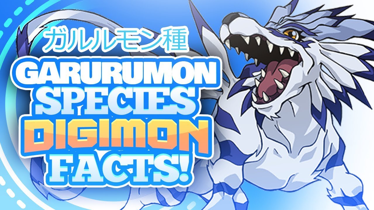 Gabumon Digivolution Line - YouTube