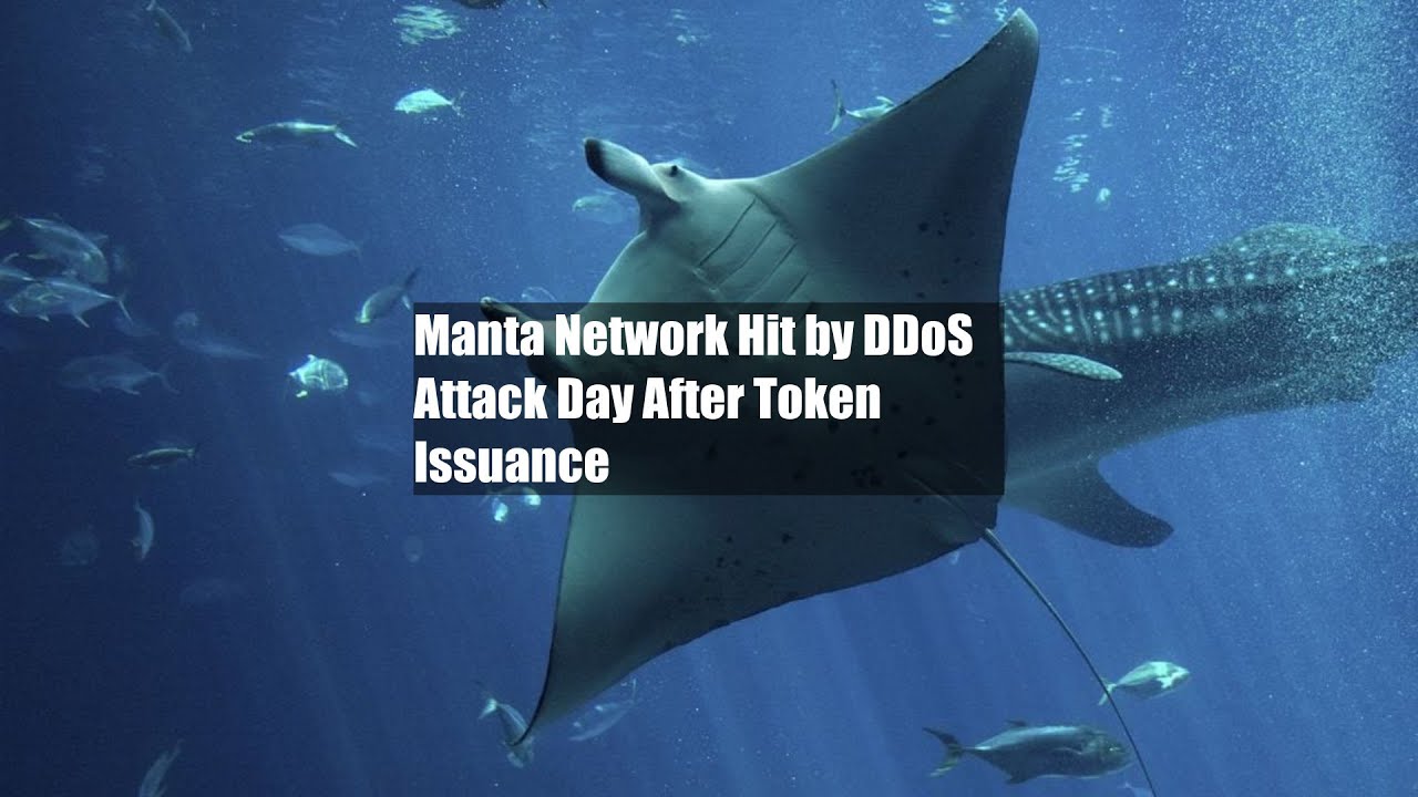 Manta Network Hit by DDoS Attack Day After Token Issuance - YouTube