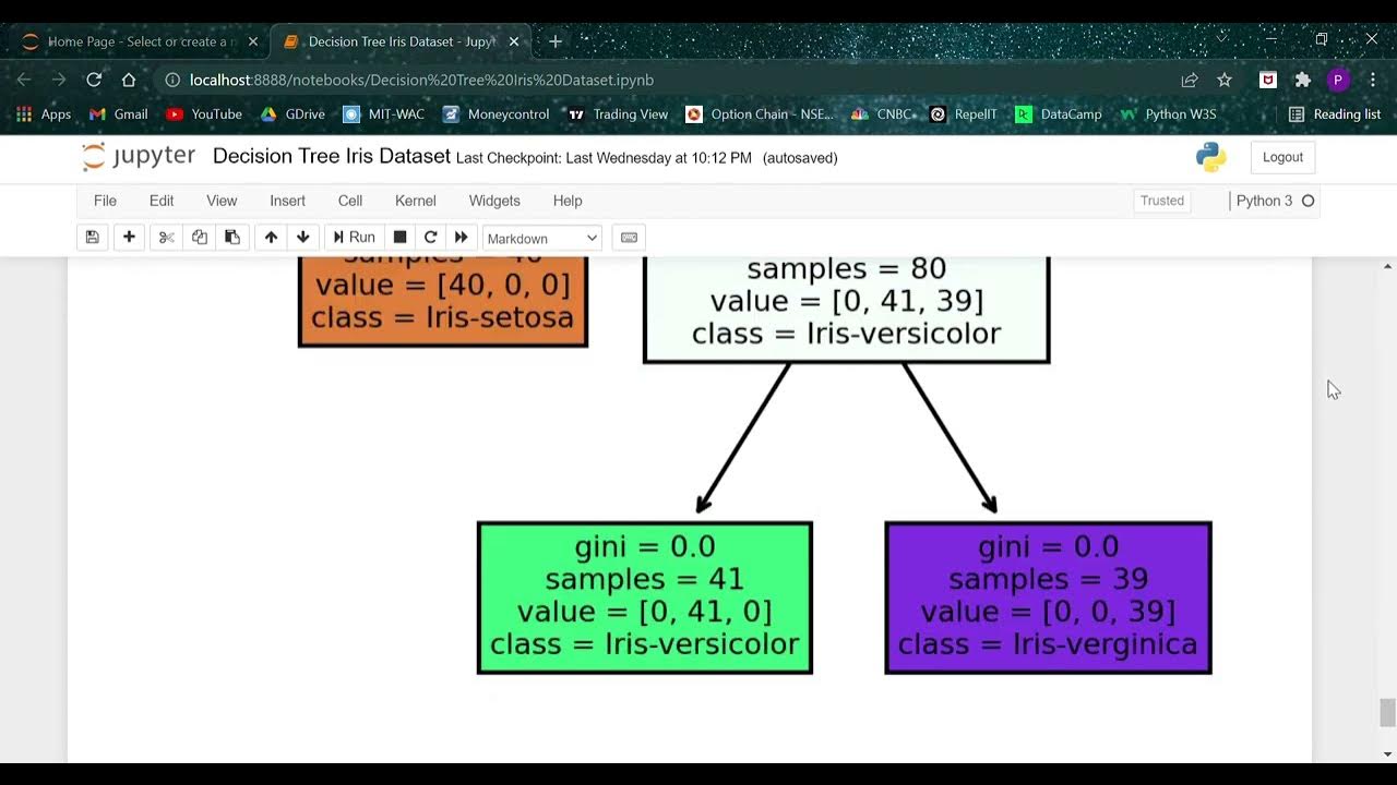 Decision Tree Iris Dataset - YouTube