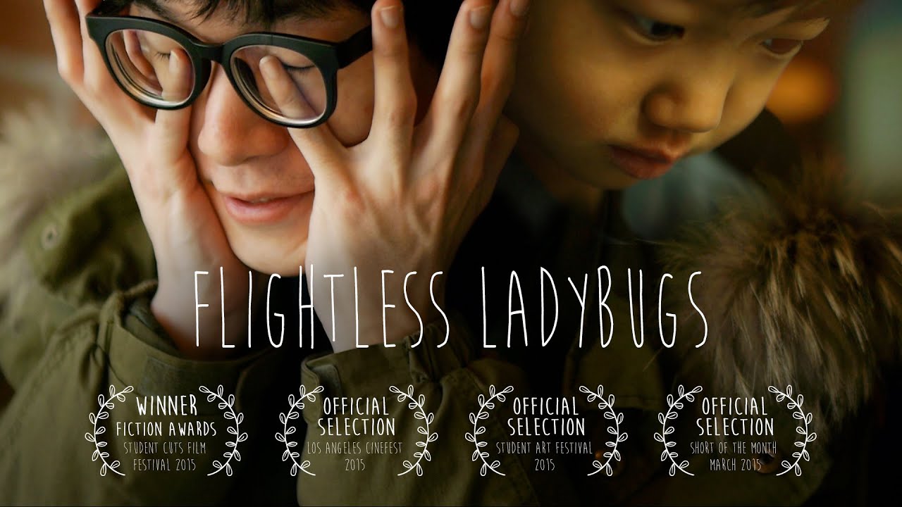 Flightless Ladybugs - YouTube