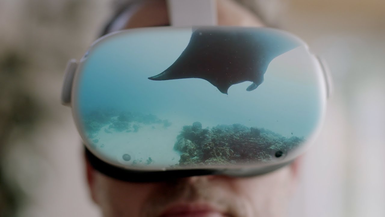 The Hydrous | Community Voices | Meta Quest - YouTube