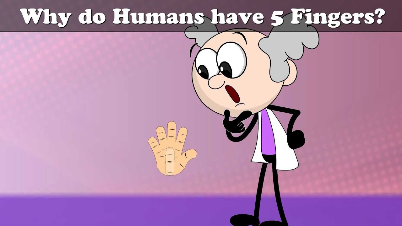 Why do Humans have 5 Fingers? + more videos | #aumsum #kids #cartoon # ...