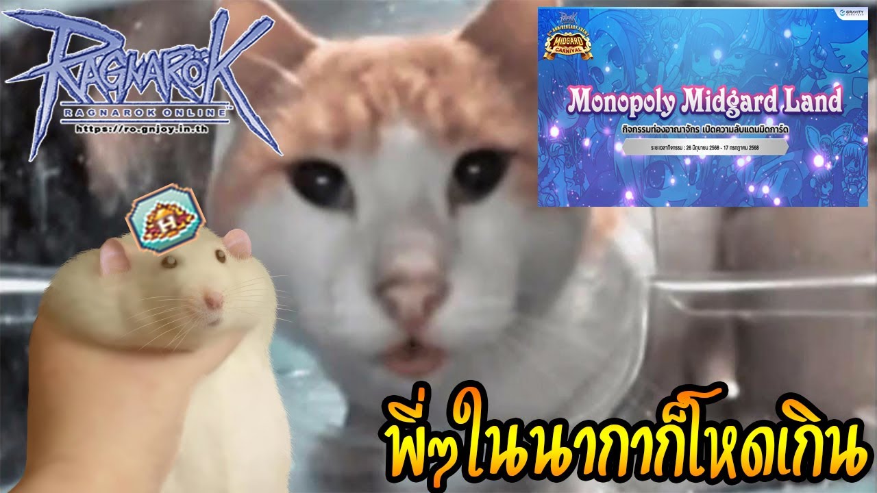 [RO_GGT]Hyper Noviceหัดเล่น กิจกรรมเจอแต่Rara - YouTube