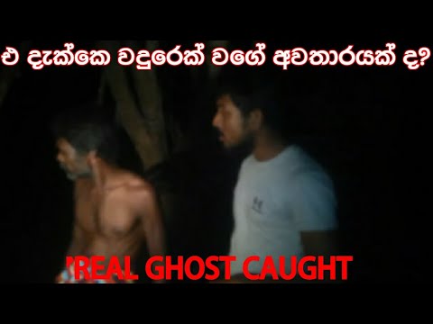 මෙ පේන්නෙ වදුරෙක් වගේ අවතාරයක් ද? Real Ghost Caught in sri lanka 🇱🇰 |Sl ...