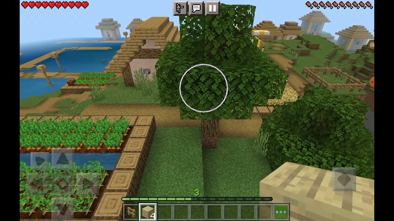 vll r seed - YouTube